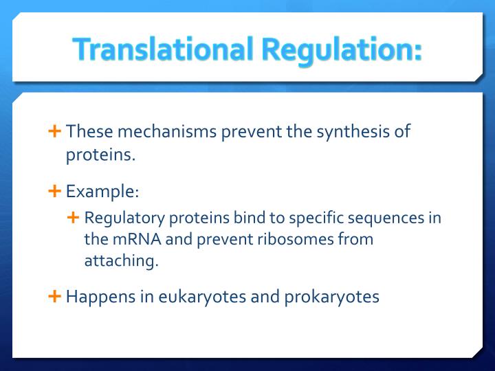 PPT - Gene Expression and Cell Differentiation PowerPoint Presentation ...