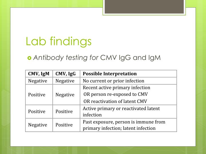 PPT - CYTOMEGALOVIRUS PowerPoint Presentation - ID:3176476