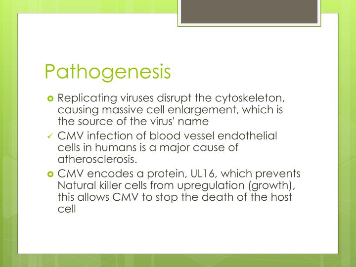PPT - CYTOMEGALOVIRUS PowerPoint Presentation - ID:3176476