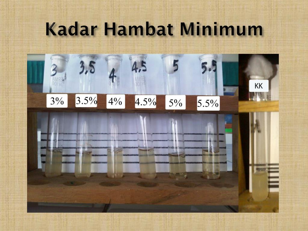 PPT - Oleh : Putu Agustya Wiratmaja 091071 3025 PowerPoint Presentation ...