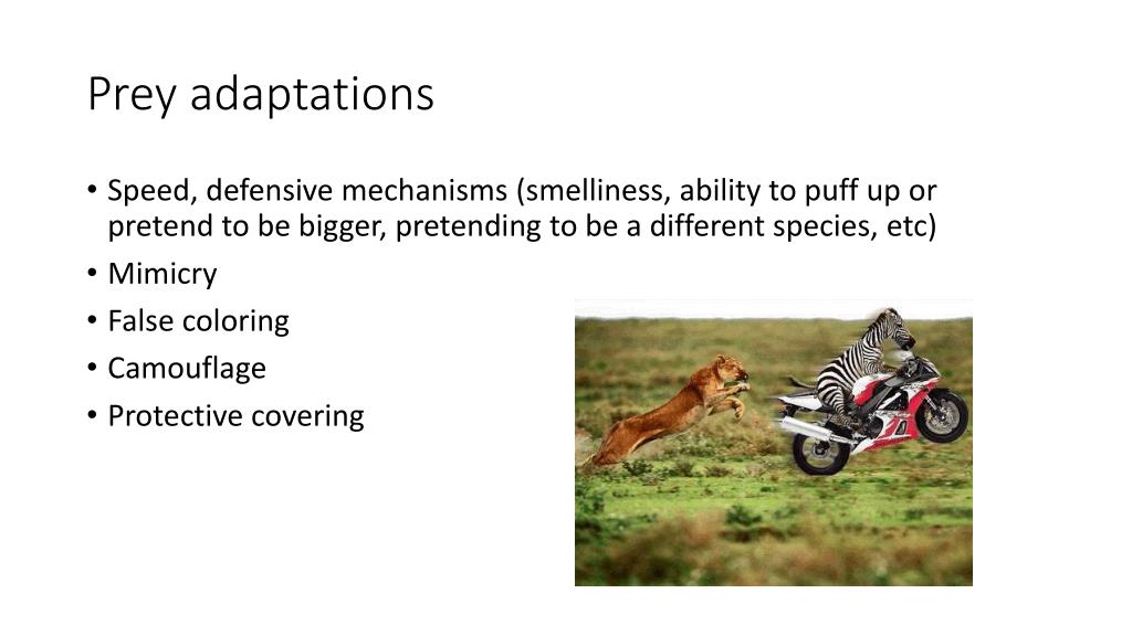 PPT - 21.3 Interactions among living things pg 722 PowerPoint ...