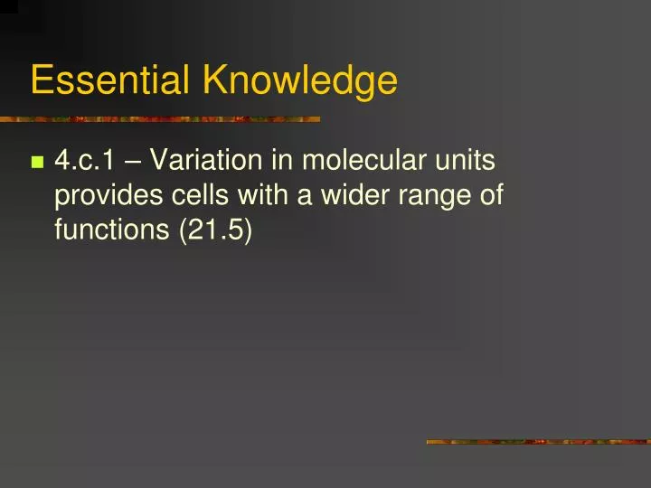 PPT - Essential Knowledge PowerPoint Presentation, free download - ID ...