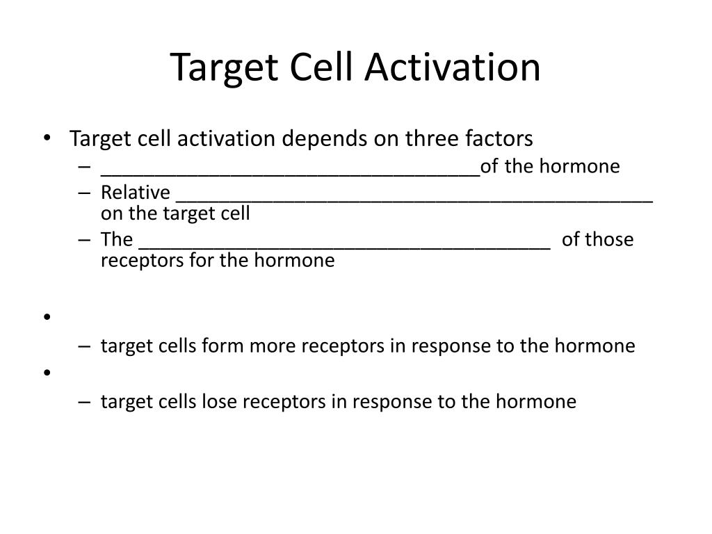 PPT - BSC 182 Human Physiology & Anatomy II PowerPoint Presentation ...