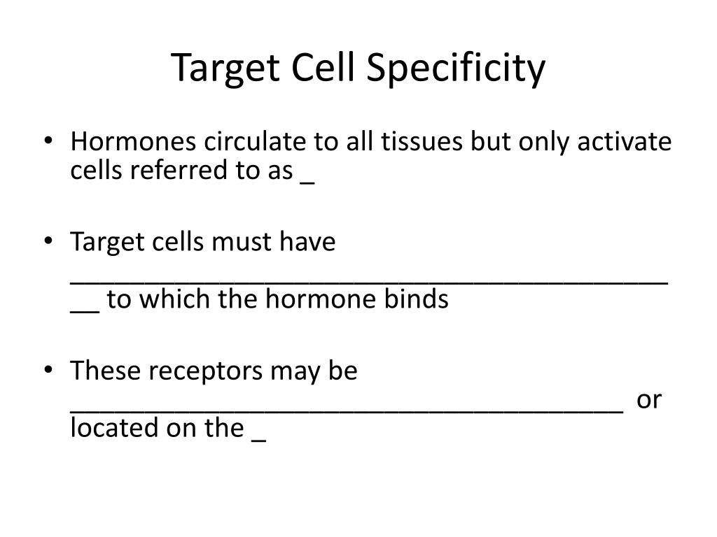 PPT - BSC 182 Human Physiology & Anatomy II PowerPoint Presentation ...