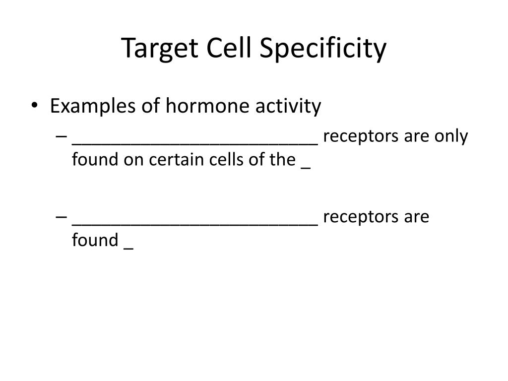 PPT - BSC 182 Human Physiology & Anatomy II PowerPoint Presentation ...