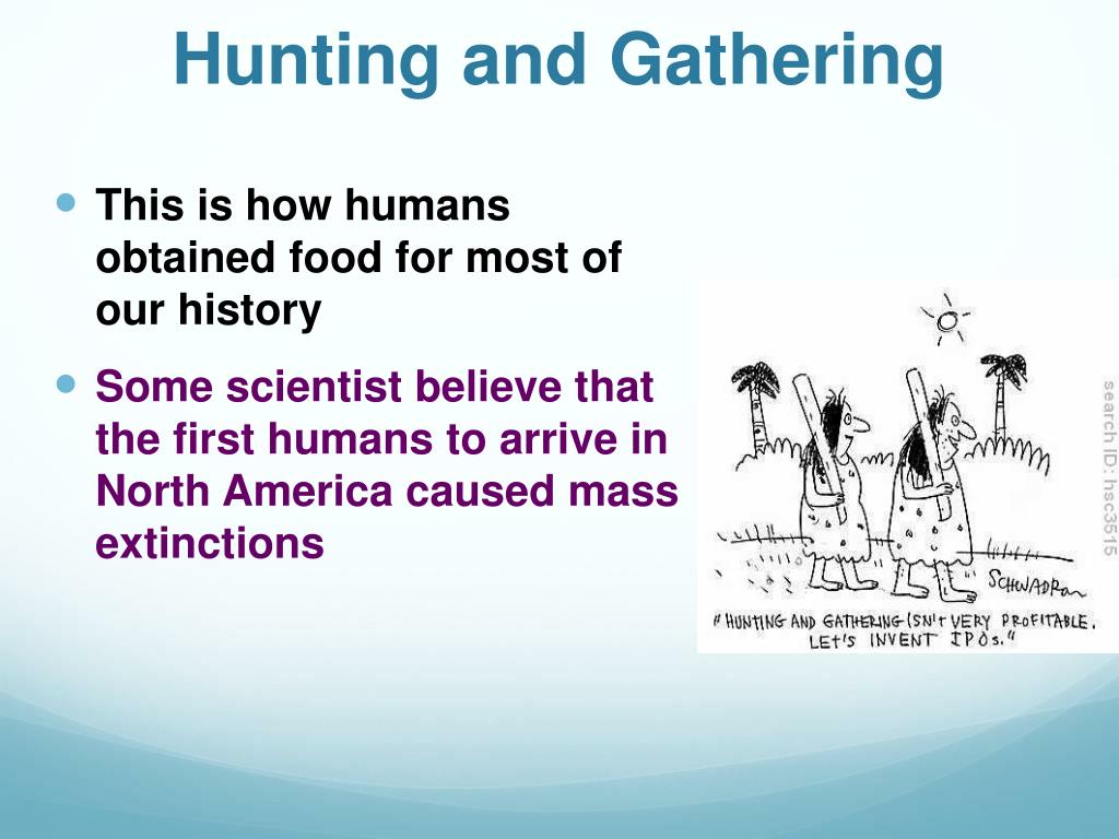 PPT - Human Activities Honors Biology Mr. Lee Room 320 PowerPoint ...