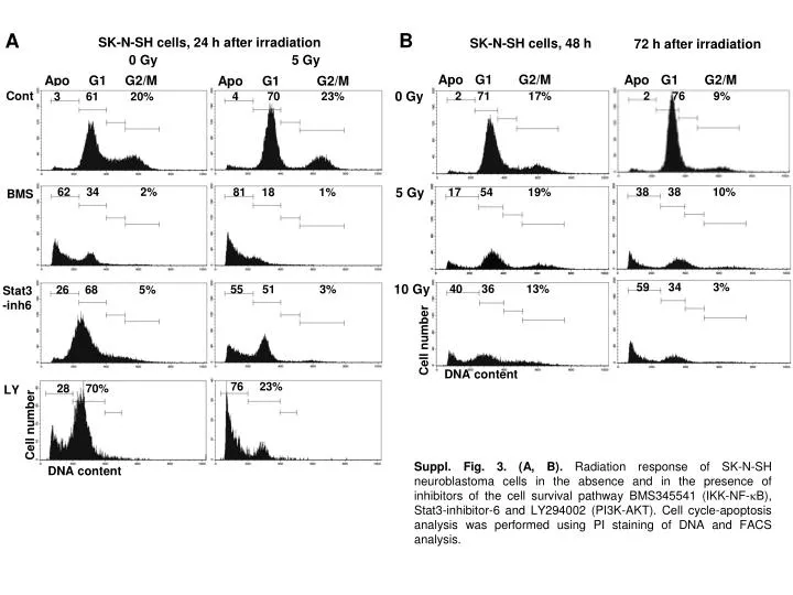 PPT - BMS PowerPoint Presentation, free download - ID:3183097
