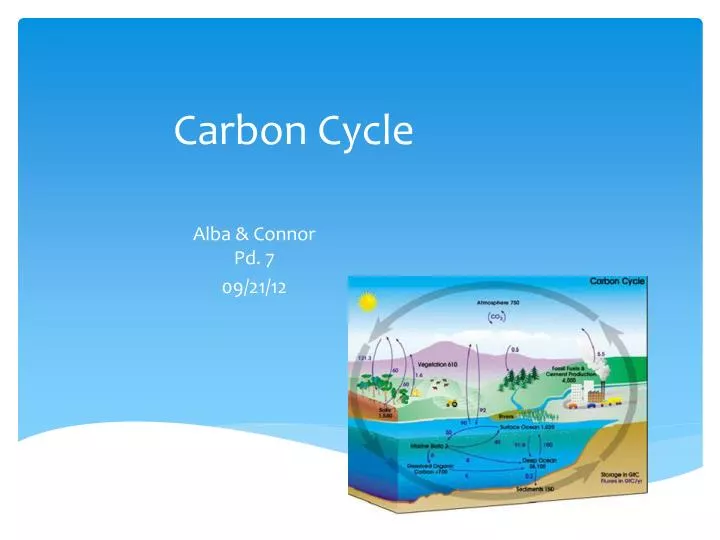 PPT - Carbon Cycle PowerPoint Presentation, free download - ID:3185541