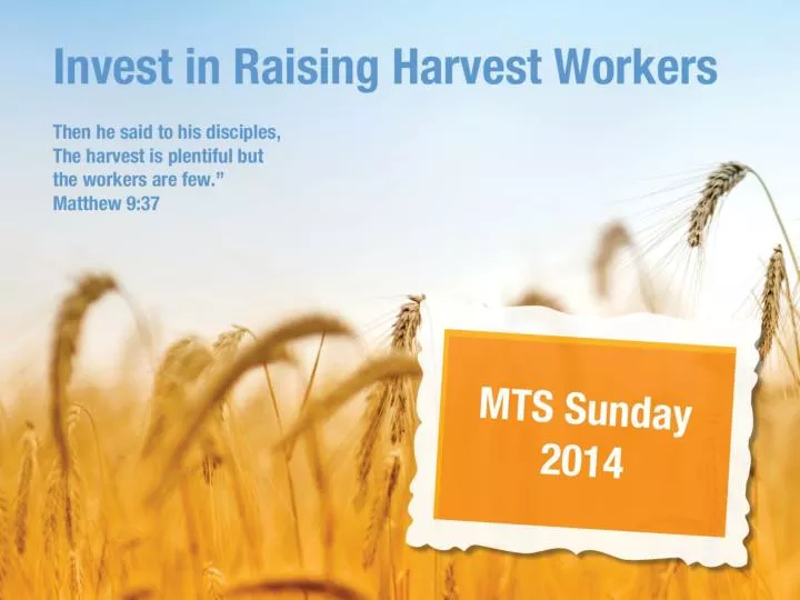 PPT - Meet an MTS apprentice… PowerPoint Presentation, free download ...