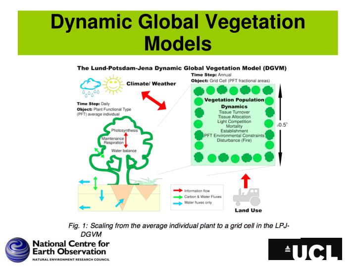 PPT - Geogg124 Terrestrial Ecosystem Modelling PowerPoint Presentation ...