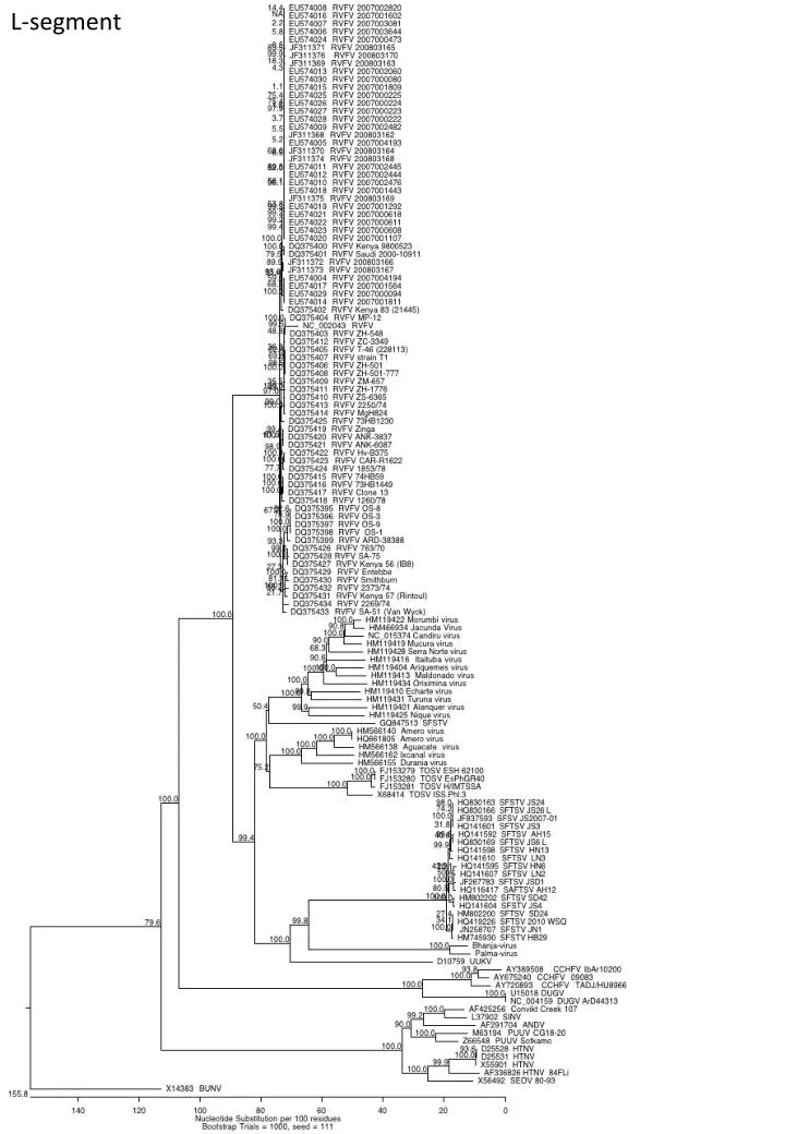 PPT - L -segment PowerPoint Presentation, free download - ID:3188374