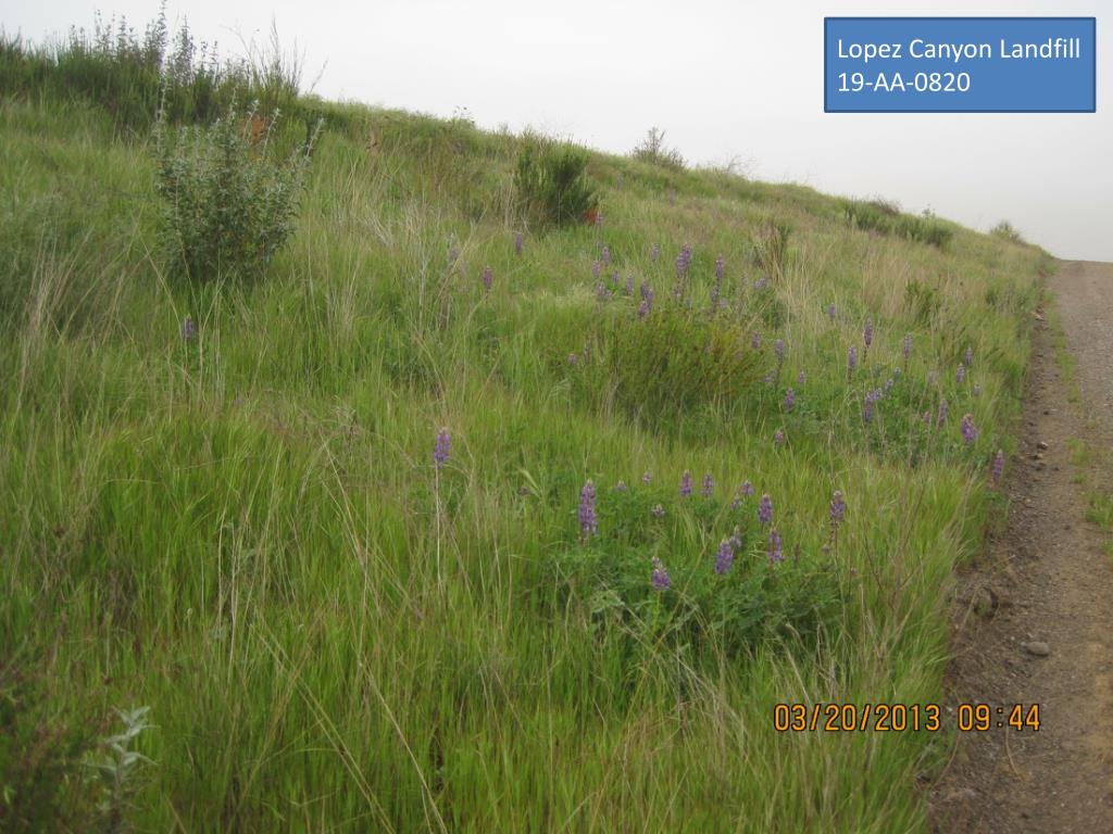 PPT - Lopez Canyon Landfill 19-AA-0820 PowerPoint Presentation, free ...