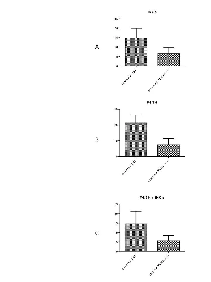 PPT - A B C PowerPoint Presentation, free download - ID:3191666
