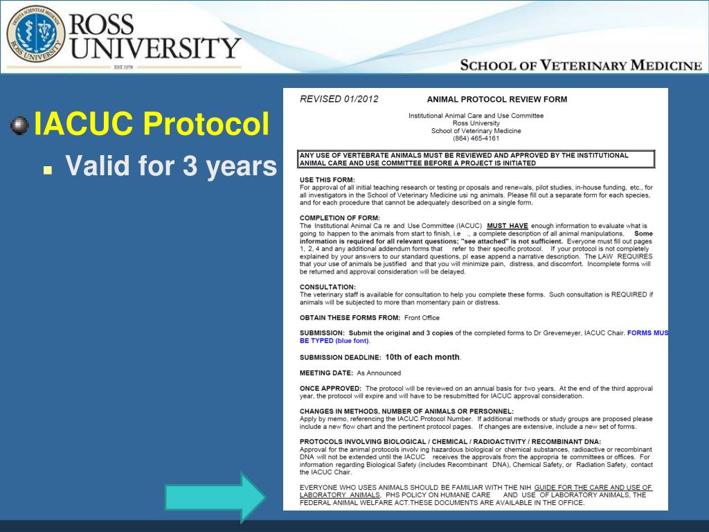 PPT - Institutional Animal Care and Use Committee (IACUC) at Ross ...