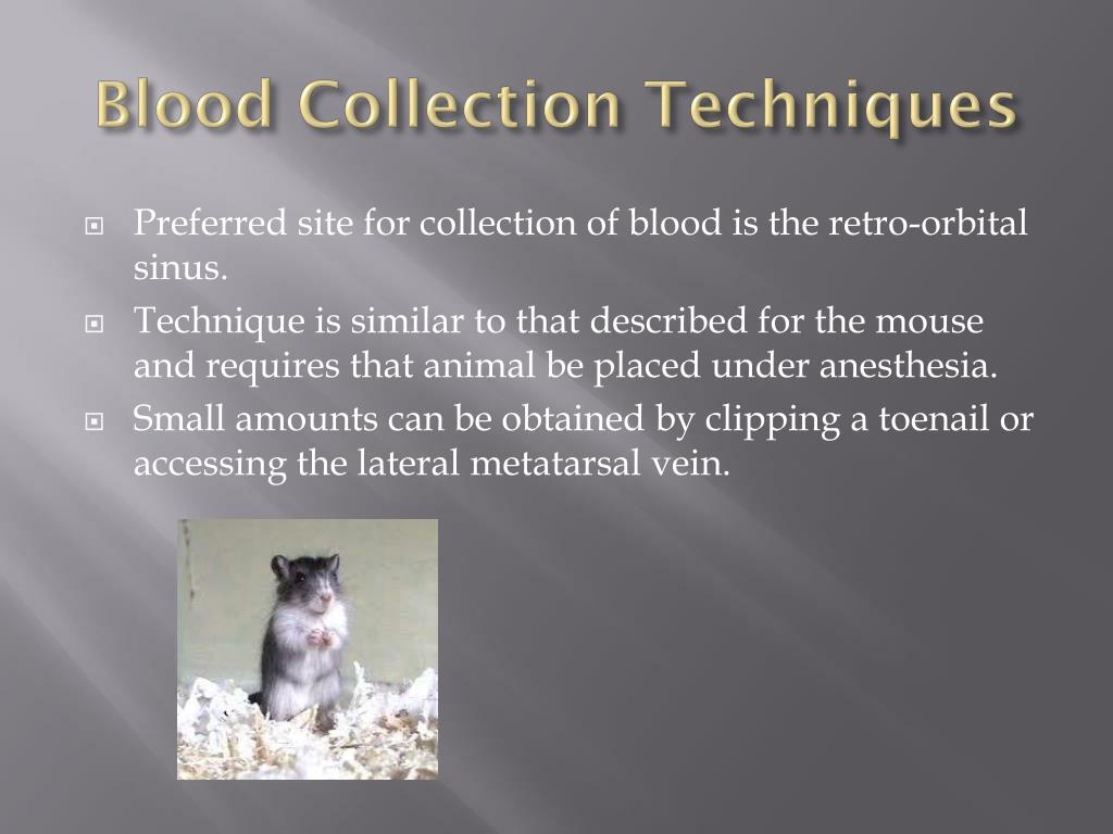 PPT - Laboratory Animal Medicine PowerPoint Presentation, free download ...