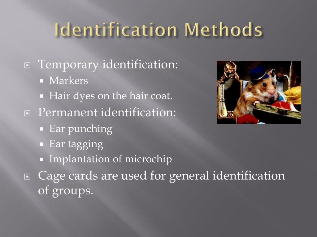 PPT - Laboratory Animal Medicine PowerPoint Presentation, free download ...