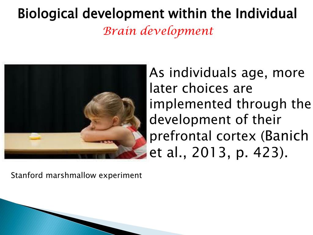 PPT - Biological and Social Development as an Individual, within a ...