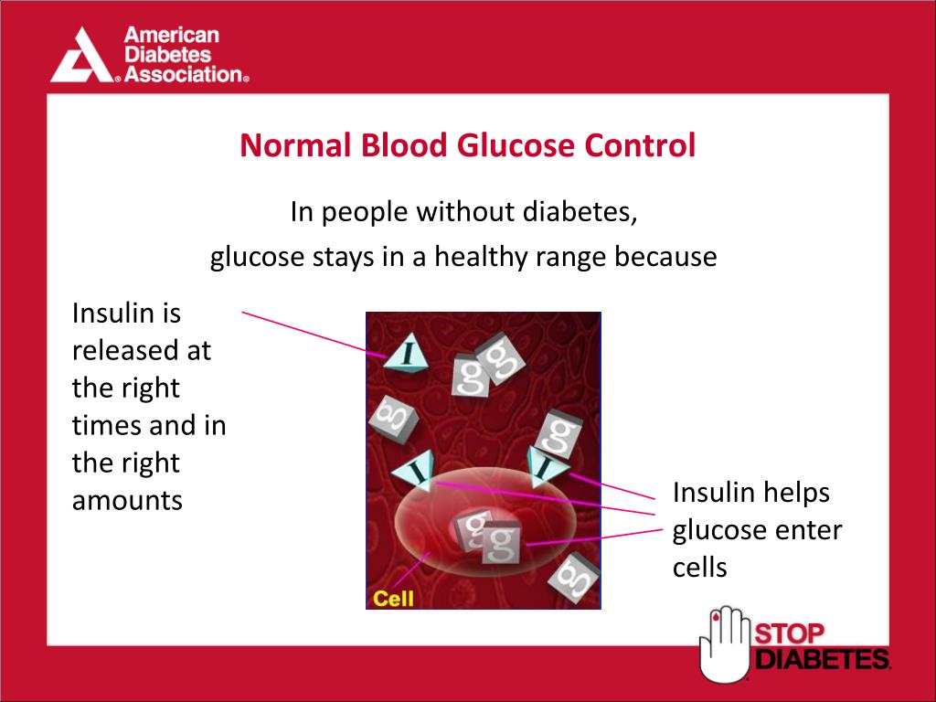 PPT - Diabetes 101: A Brief Overview of Diabetes and the American ...