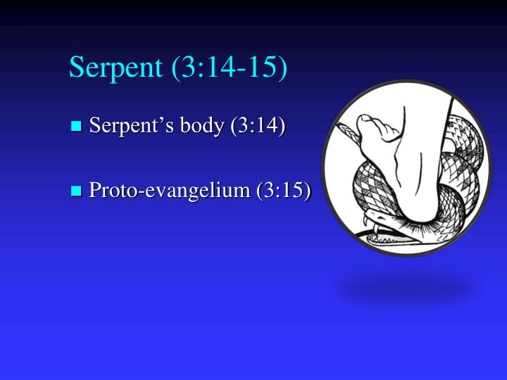 PPT - GENESIS 3: THE FALL OF MAN PowerPoint Presentation - ID:3195735