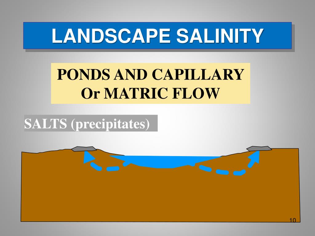 PPT - Hydropedology (Stratigraphy & Geomorphology) of Salinity and ...