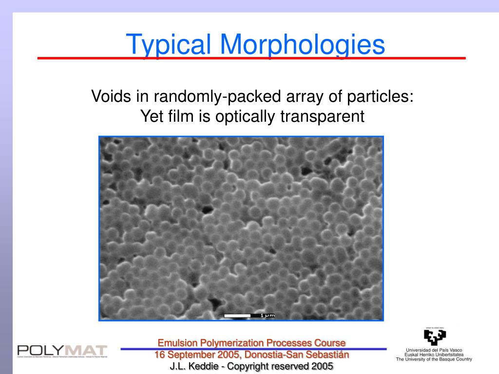PPT - Film Formation of Waterborne Coatings PowerPoint Presentation ...
