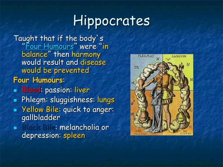 PPT - The History of Anatomy PowerPoint Presentation - ID:3196242