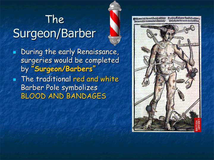 PPT - The History of Anatomy PowerPoint Presentation - ID:3196242