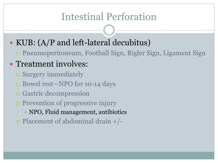 PPT - GI Emergencies in the NICU PowerPoint Presentation - ID:3196397
