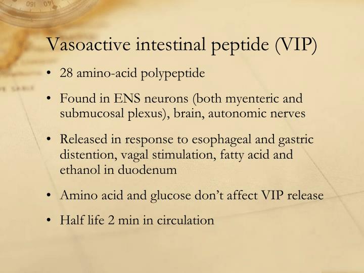 PPT - GI hormone PowerPoint Presentation - ID:3196420