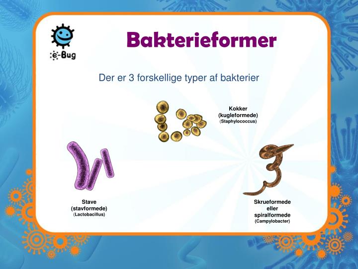 PPT - Hvad er mikroorganismer? PowerPoint Presentation - ID:3196586