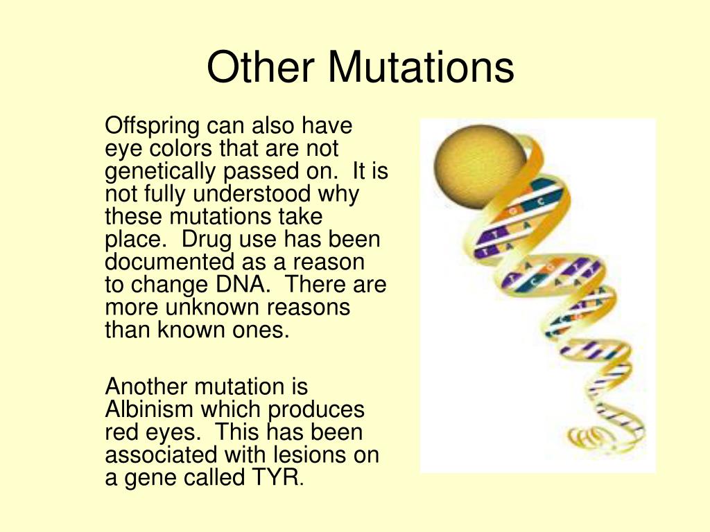 PPT - Coloring the Eye by Louise Callanta PowerPoint Presentation, free ...