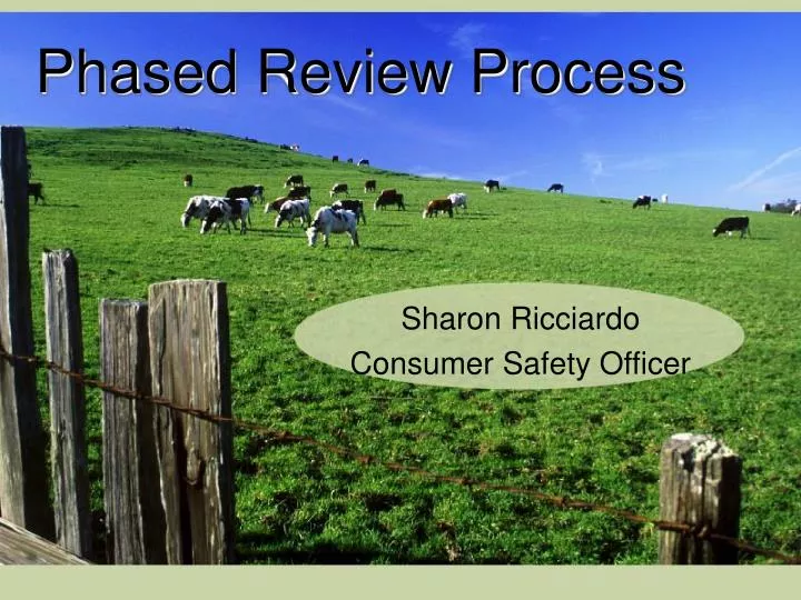 PPT - Phased Review Process PowerPoint Presentation, free download - ID ...