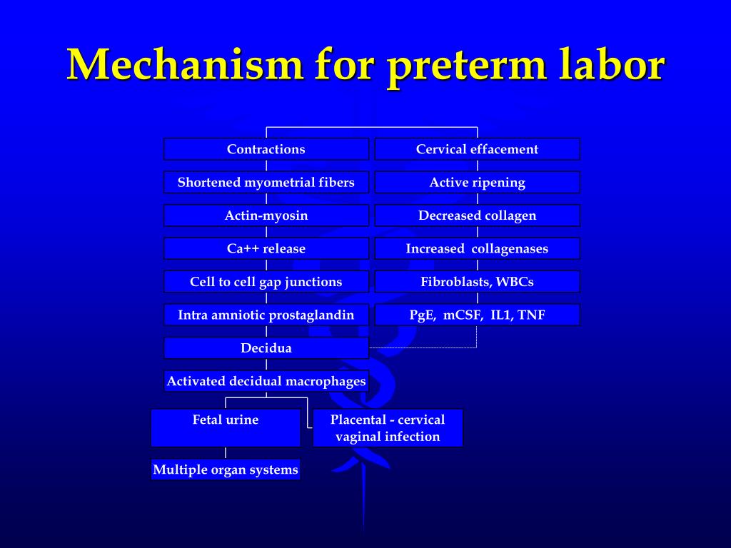 PPT - Vaginal Infections and Preterm Birth - An Update PowerPoint ...