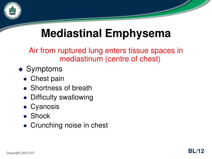 PPT - Burst Lung PowerPoint Presentation - ID:3198349