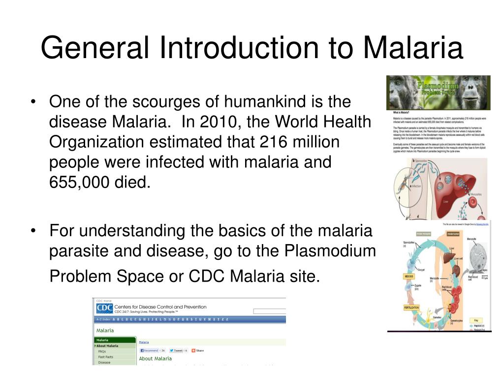 PPT - Investigating Drug Resistance in Malaria PowerPoint Presentation ...