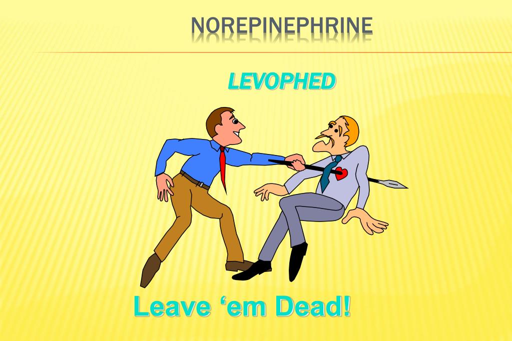 PPT - Intensive Care Cardiovascular Pharmacology PowerPoint ...