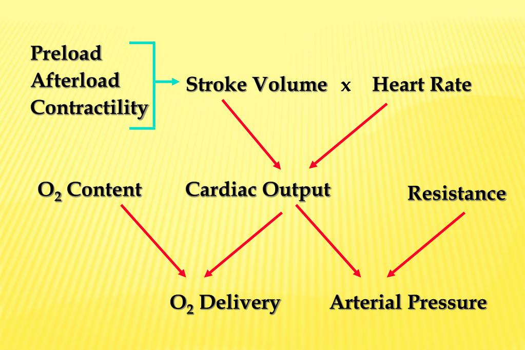 PPT - Intensive Care Cardiovascular Pharmacology PowerPoint ...