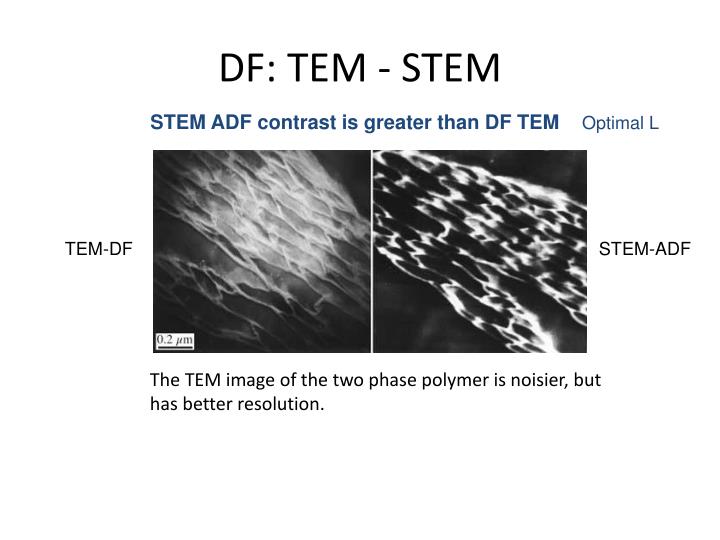 PPT - Contrast in TEM and STEM PowerPoint Presentation - ID:3199271