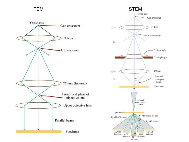 PPT - Contrast in TEM and STEM PowerPoint Presentation - ID:3199271