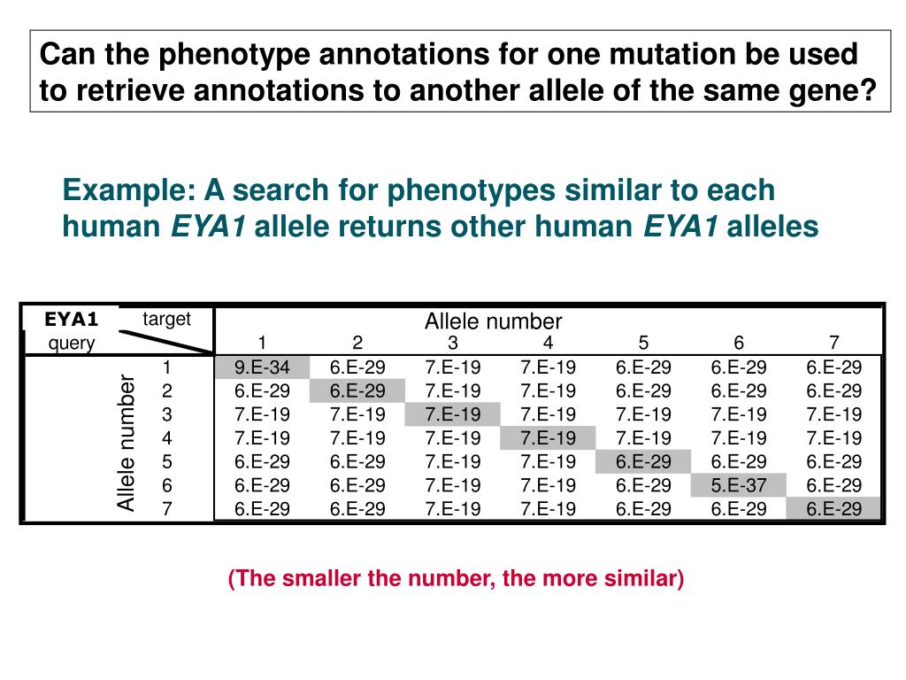 PPT - Relating Animal Model Phenotypes to Human Disease Genes Project ...