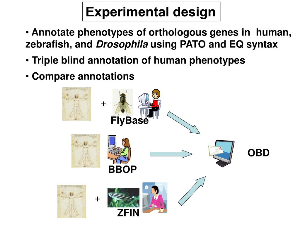 PPT - Relating Animal Model Phenotypes to Human Disease Genes Project ...