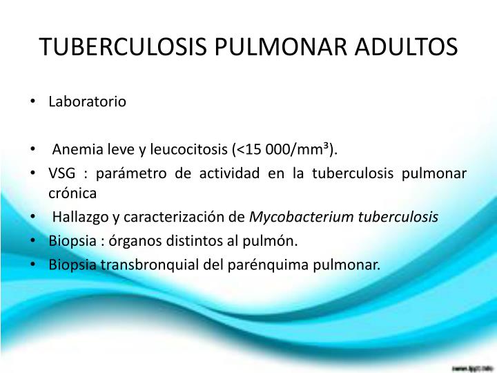 PPT - TUBERCULOSIS PowerPoint Presentation - ID:3200414