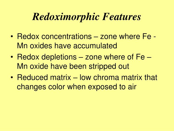 PPT - Redoximorphic Features and Hydric Soils PowerPoint Presentation ...