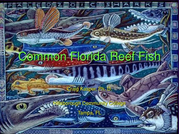 PPT - Common Florida Reef Fish PowerPoint Presentation, free download ...