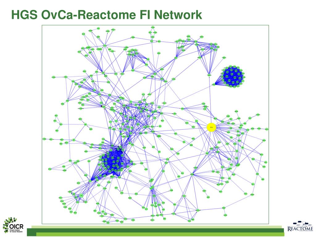 PPT - Reactome Functional Interaction Network Cytoscape Plugin ... PPT - Reactome Functional Interaction Network Cytoscape Plugin ...