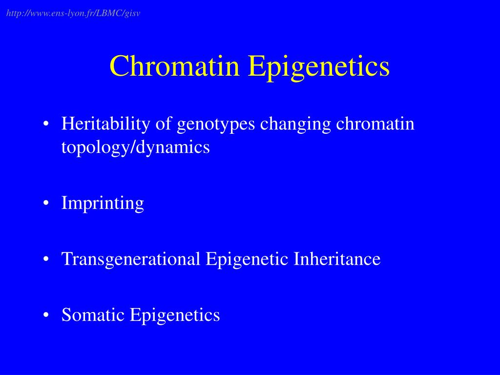 PPT - Comparative Epigenomics 1/2 Ga ë l YVERT Ecole Normale Sup é ...