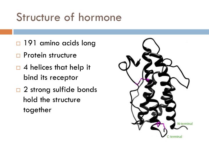 Hormone Structure