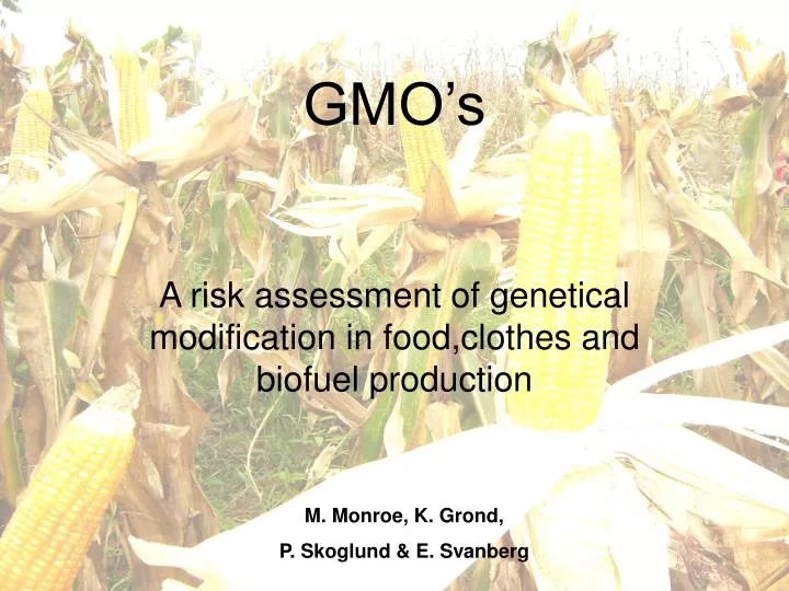 PPT - GMO’s PowerPoint Presentation, free download - ID:3201516