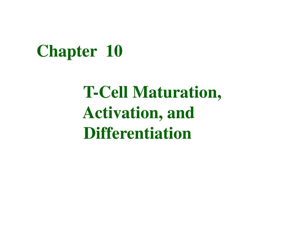 PPT - Chapter 10 T-Cell Maturation, Activation, and PowerPoint ... PPT - Chapter 10 T-Cell Maturation, Activation, and PowerPoint ...