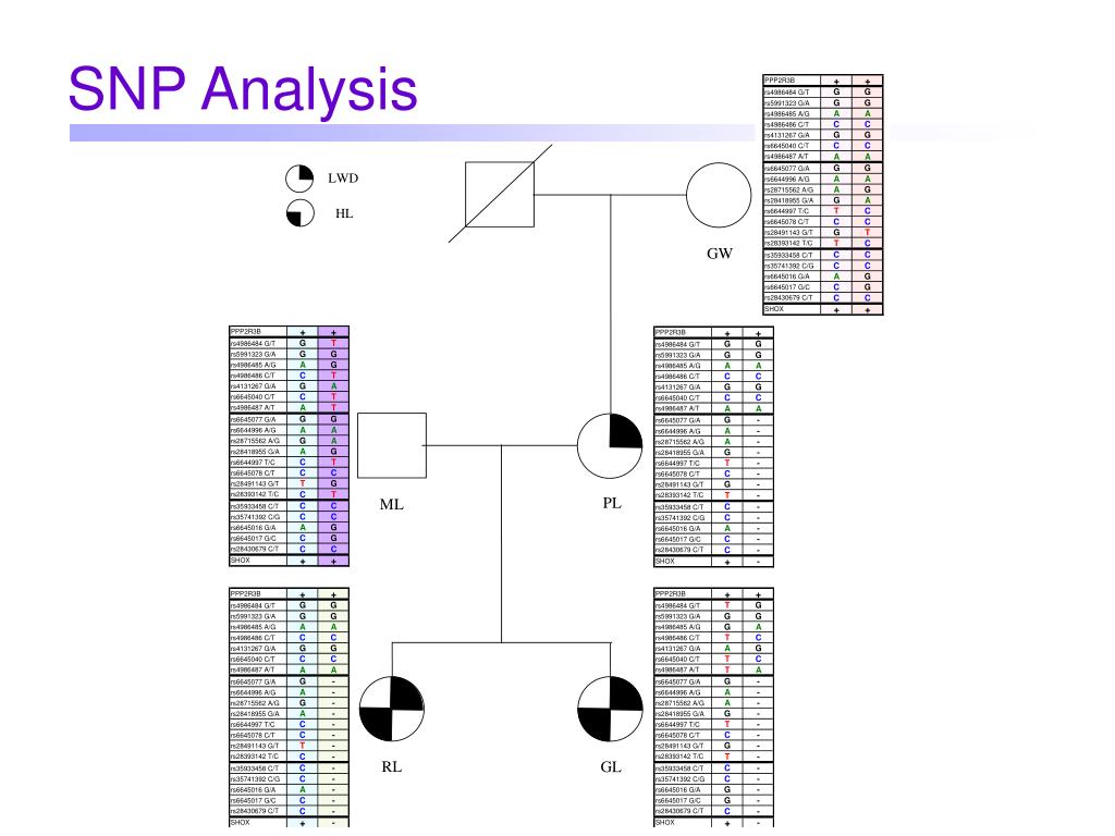 PPT - Kym Spencer Liverpool Women’s Hospital PowerPoint Presentation ...